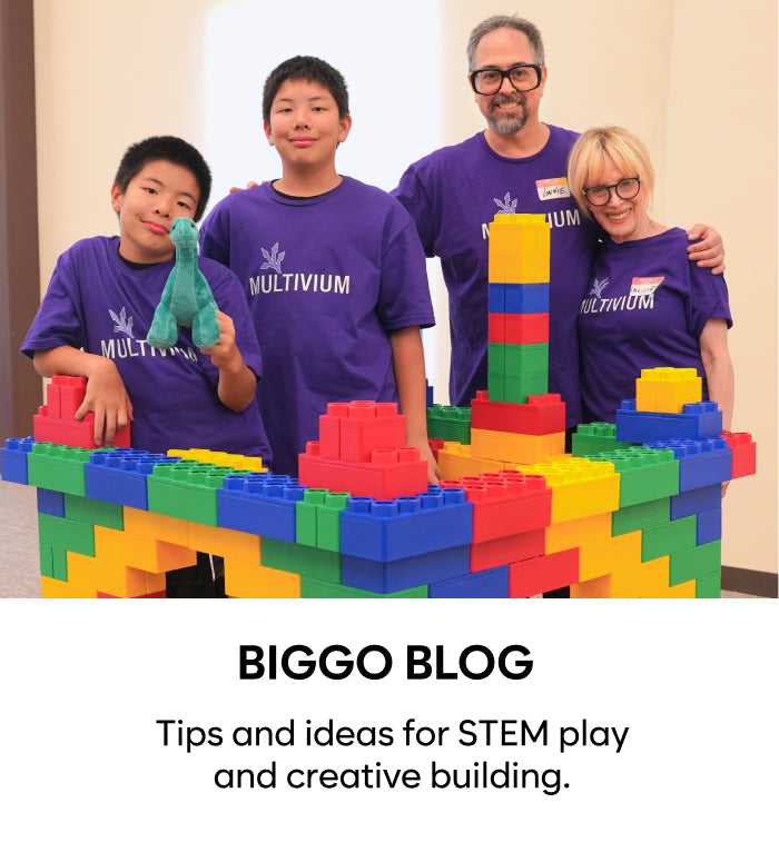 Assorted Color Biggo Blocks – Vibrant, Multi-Color Building Sets ...