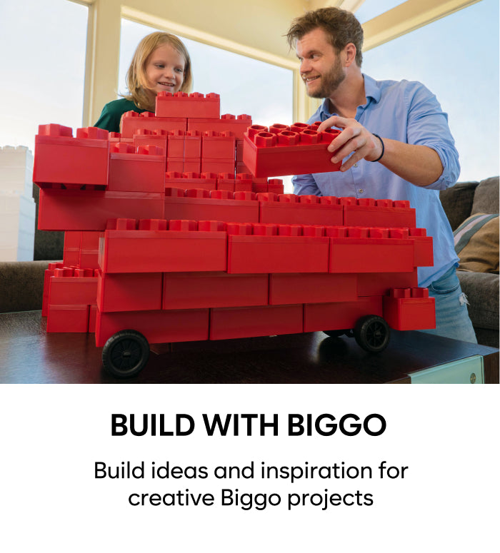 Assorted Color Biggo Blocks – Vibrant, Multi-Color Building Sets ...
